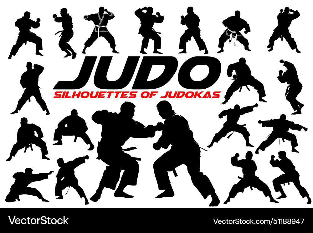 Professional judokas silhouettes in training judo Vector Image
