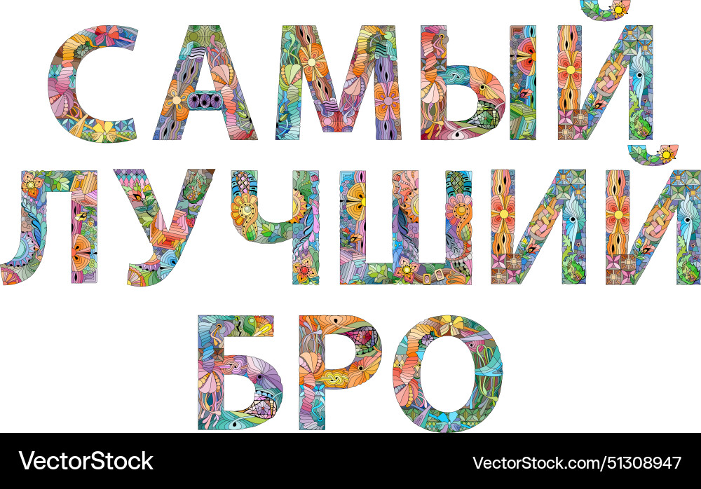 Words the best bro in russian decorative Vector Image