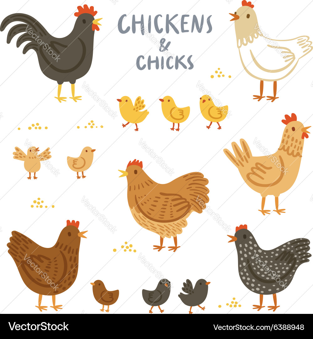Charming Chickens and Baby Chicks Collection Vector Image