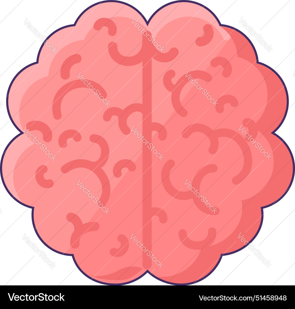 Human brain top view icon convolutions Royalty Free Vector