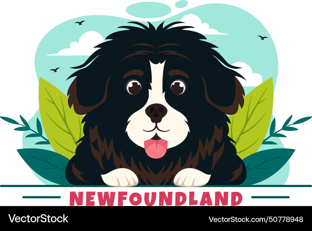 Newfoundland dog animals with black brown or Vector Image