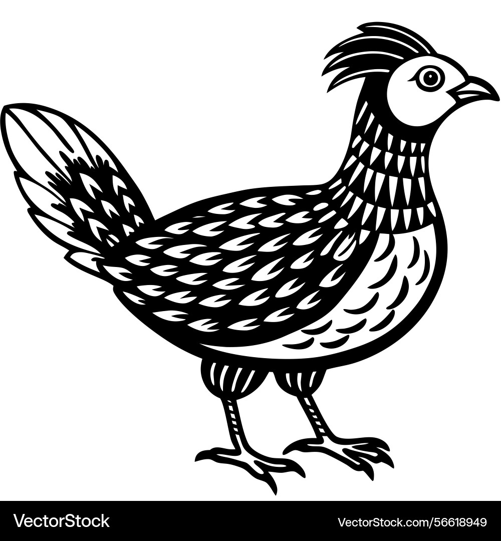 Ruffed grouse white background Royalty Free Vector Image