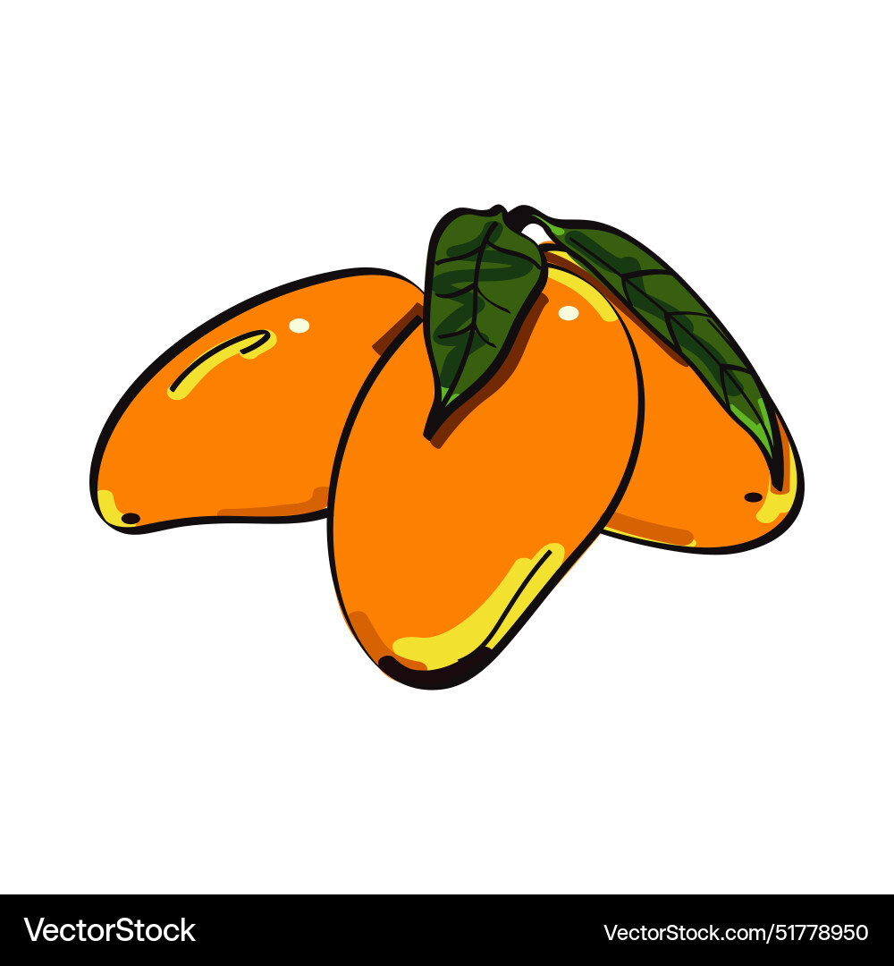 Ripe mango with green leaf Royalty Free Vector Image