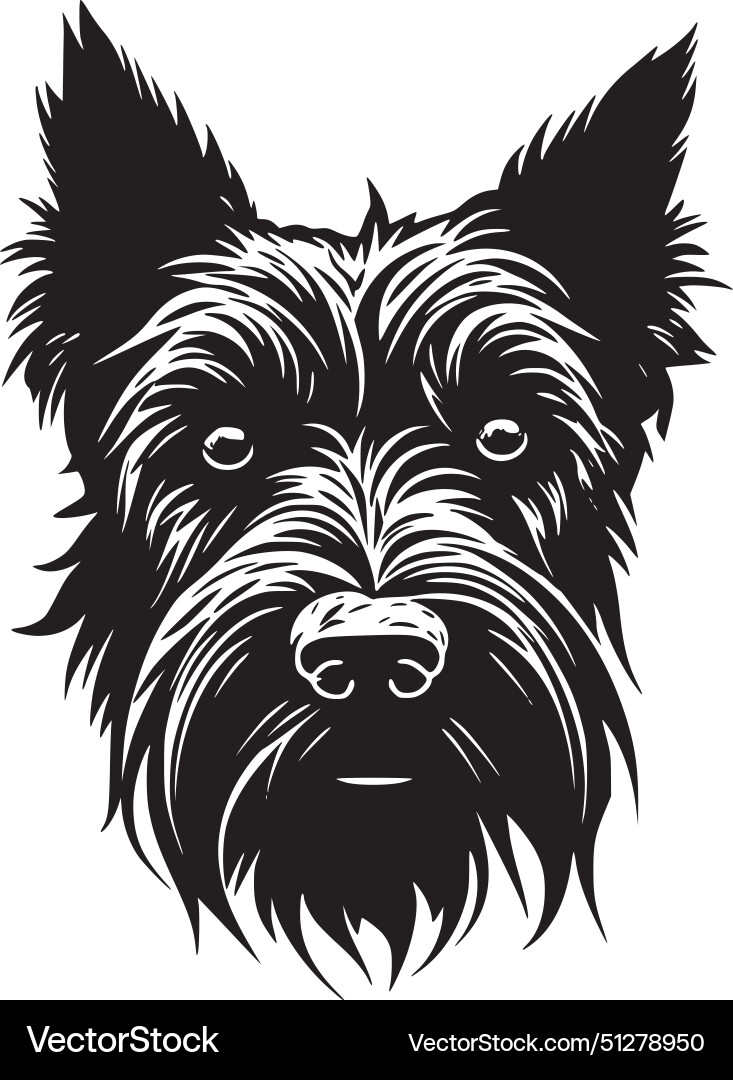 Scottish terrier - minimalist and simple Vector Image