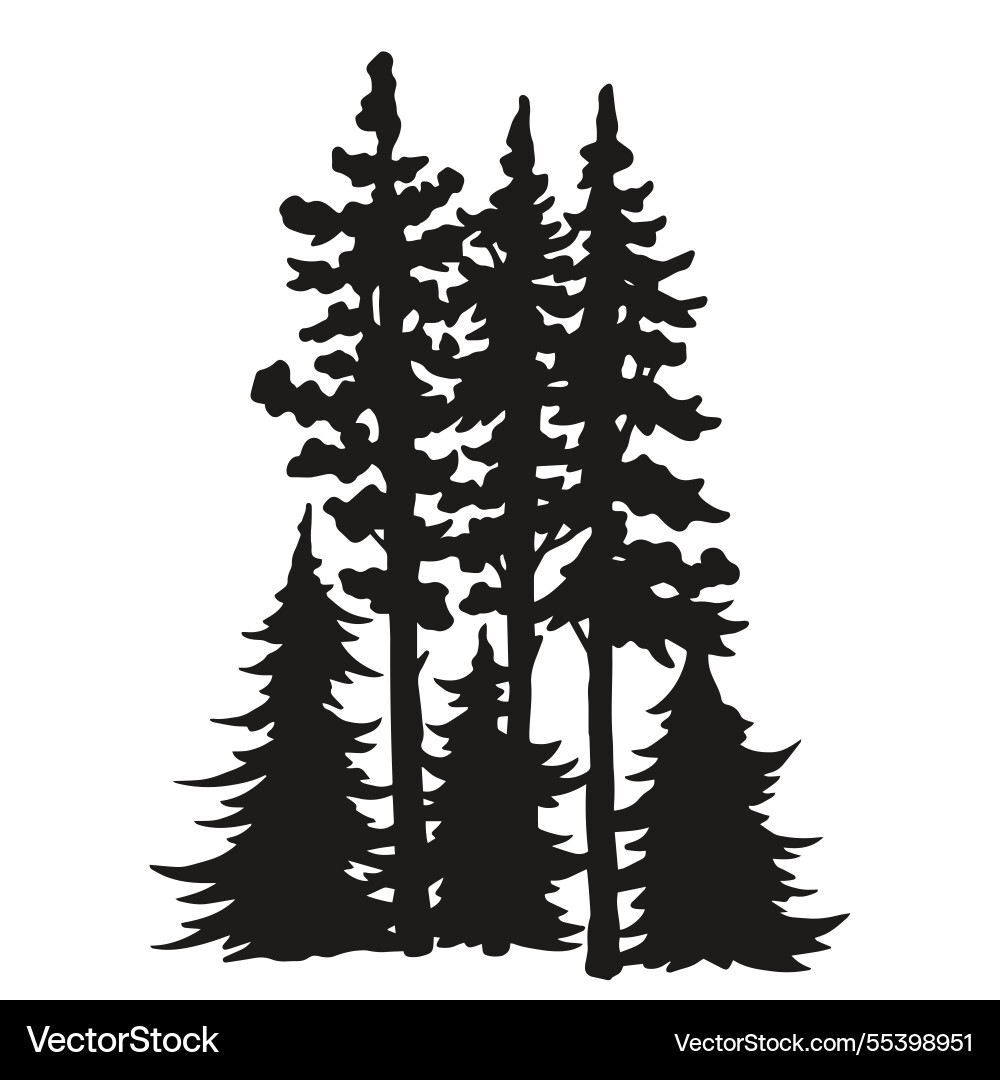 Tall evergreen trees create a forest silhouette Vector Image