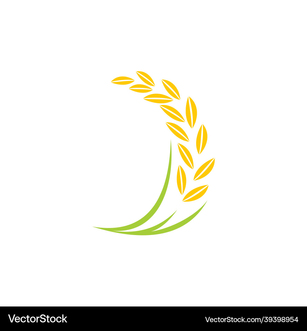 Paddy Vector Logo 4+ Thousand Rice Paddy Logo Royalty Free Images,