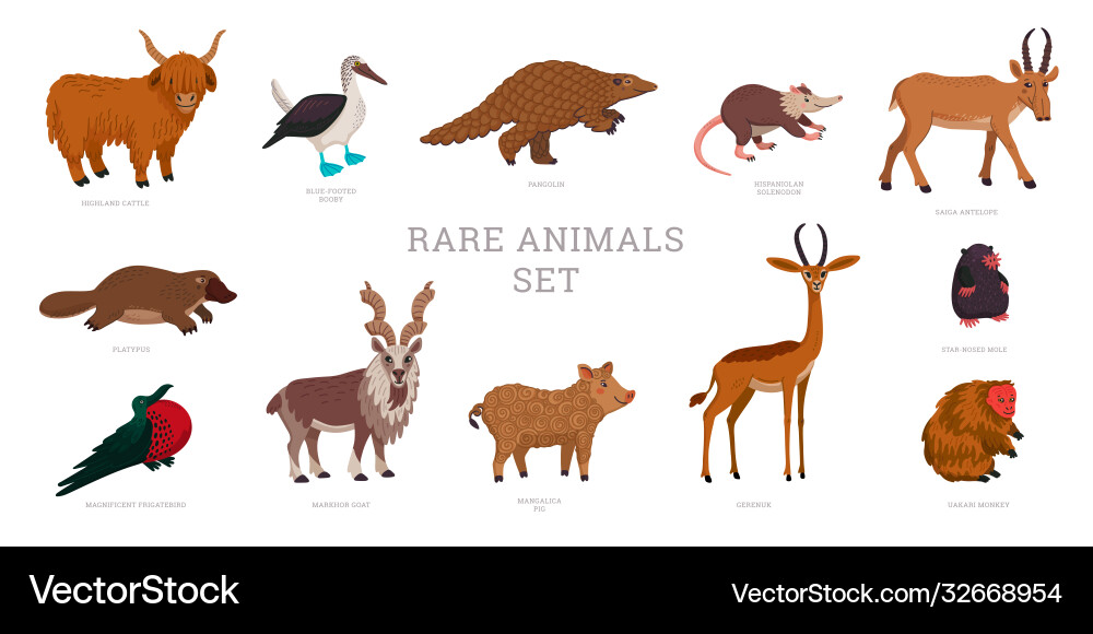 Seltene Tiere Sammlung Welt selten Lizenzfreies Vektorbild