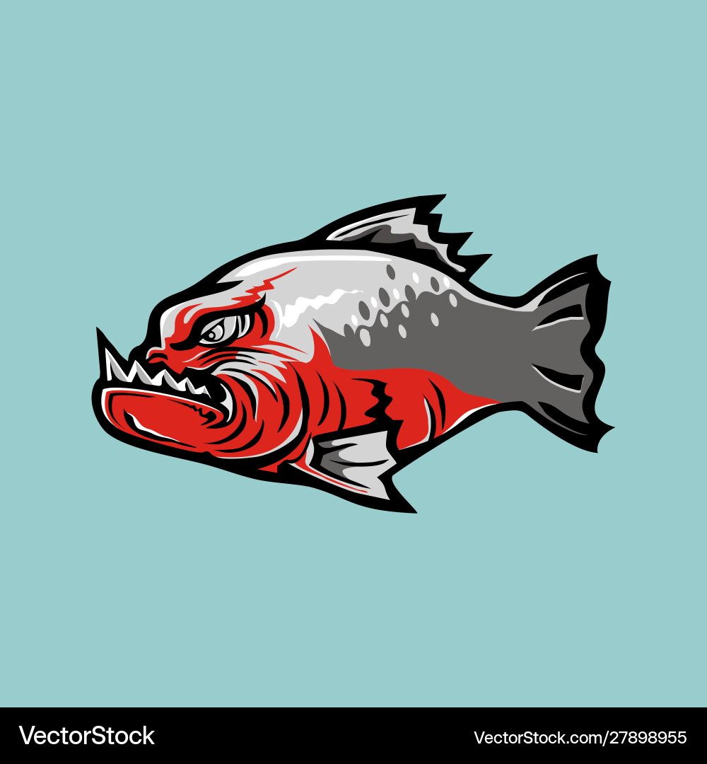 Piranha Royalty Free Vector Image - VectorStock