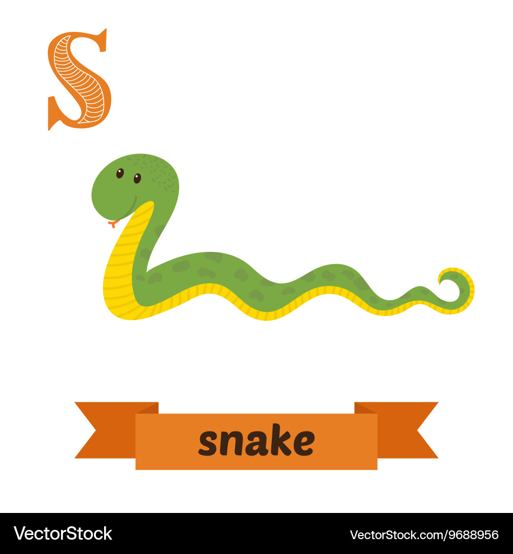 Cute Snake Alphabet S Letter Royalty Free Vector Image