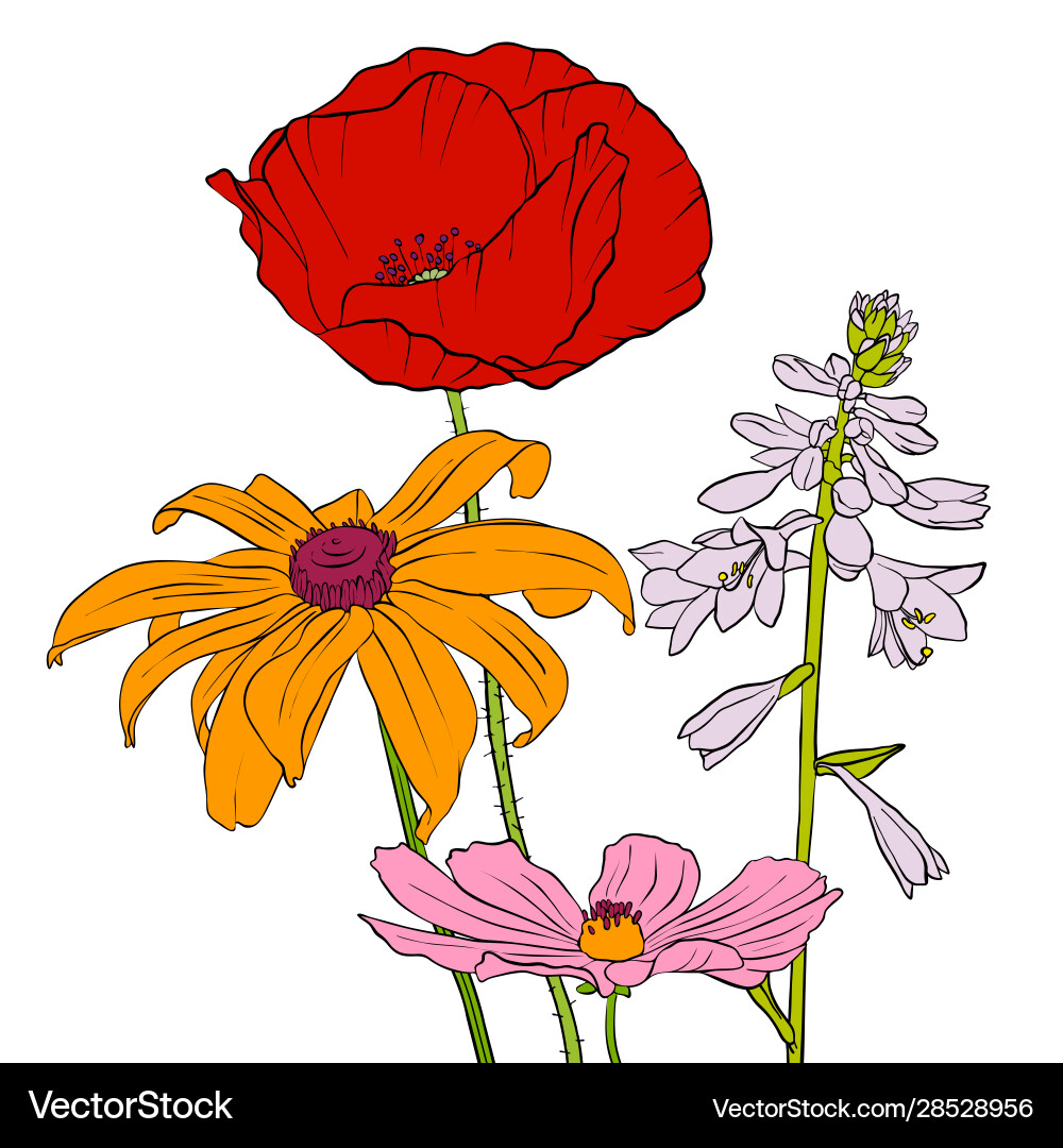 Drawing flowers Royalty Free Vector Image - VectorStock