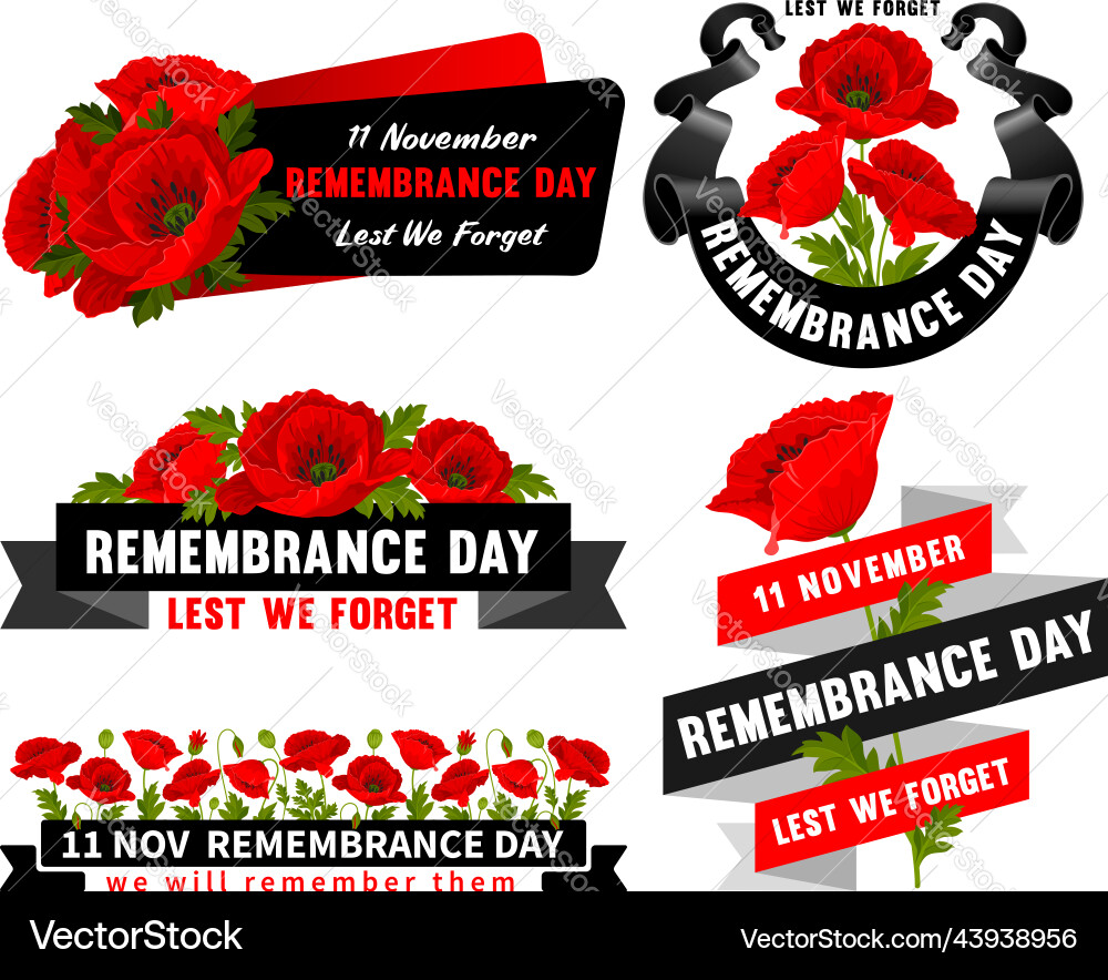Remembrance day emblems set with red poppy flowers