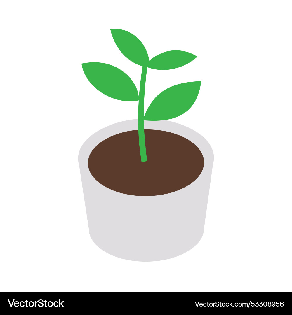 Simple plant in pot flat design Royalty Free Vector Image