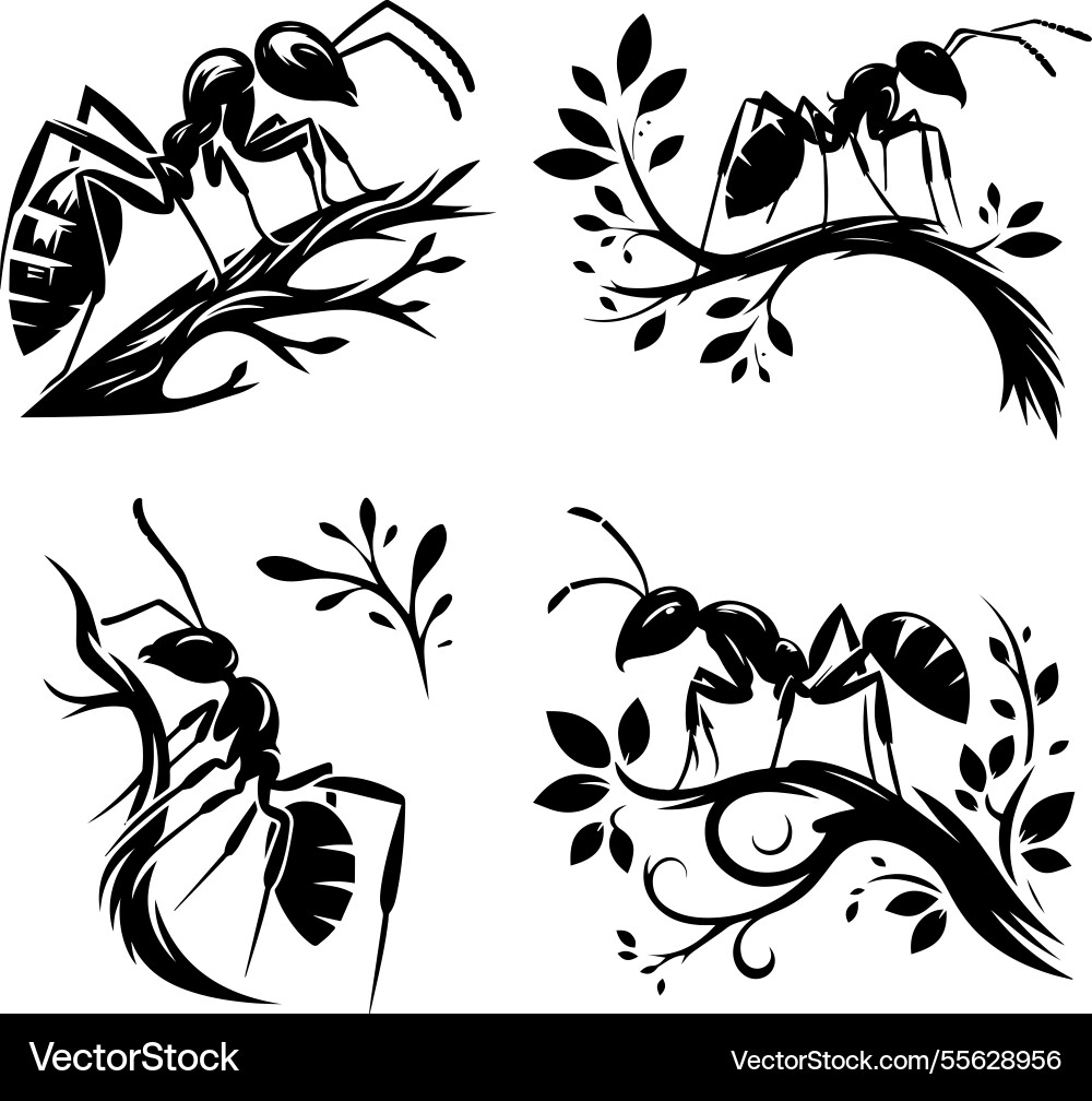 Stylized black ant set and silhouette Royalty Free Vector