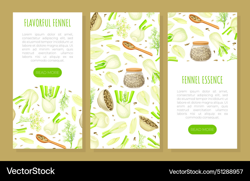 Fennel banner design with edible condiment Vector Image