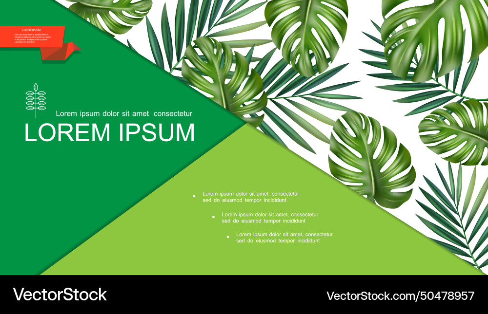 Realistic green tropical plants template Vector Image