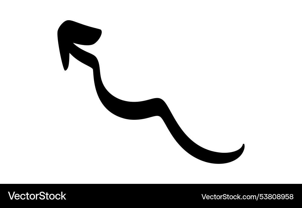 Curved wavy hand drawn arrow simple for design Vector Image