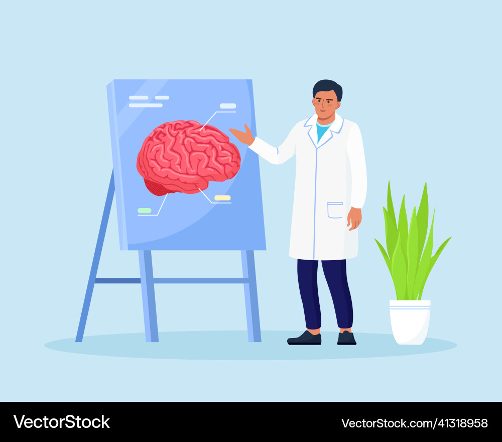 Doctor pointing on demonstration board with human Vector Image