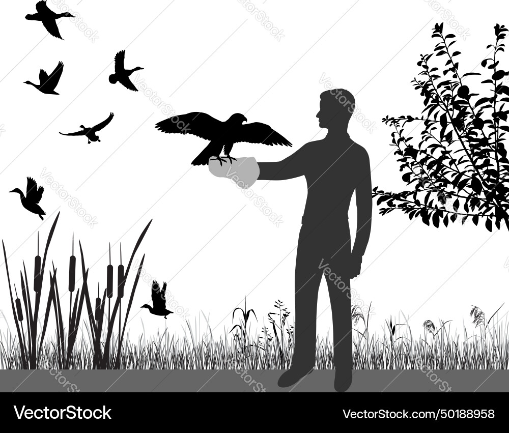 Hunting with peregrine falcon Royalty Free Vector Image