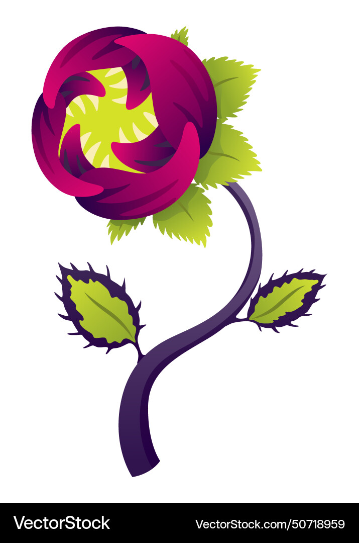 Carnivorous plant cartoon flytrap or flower Vector Image