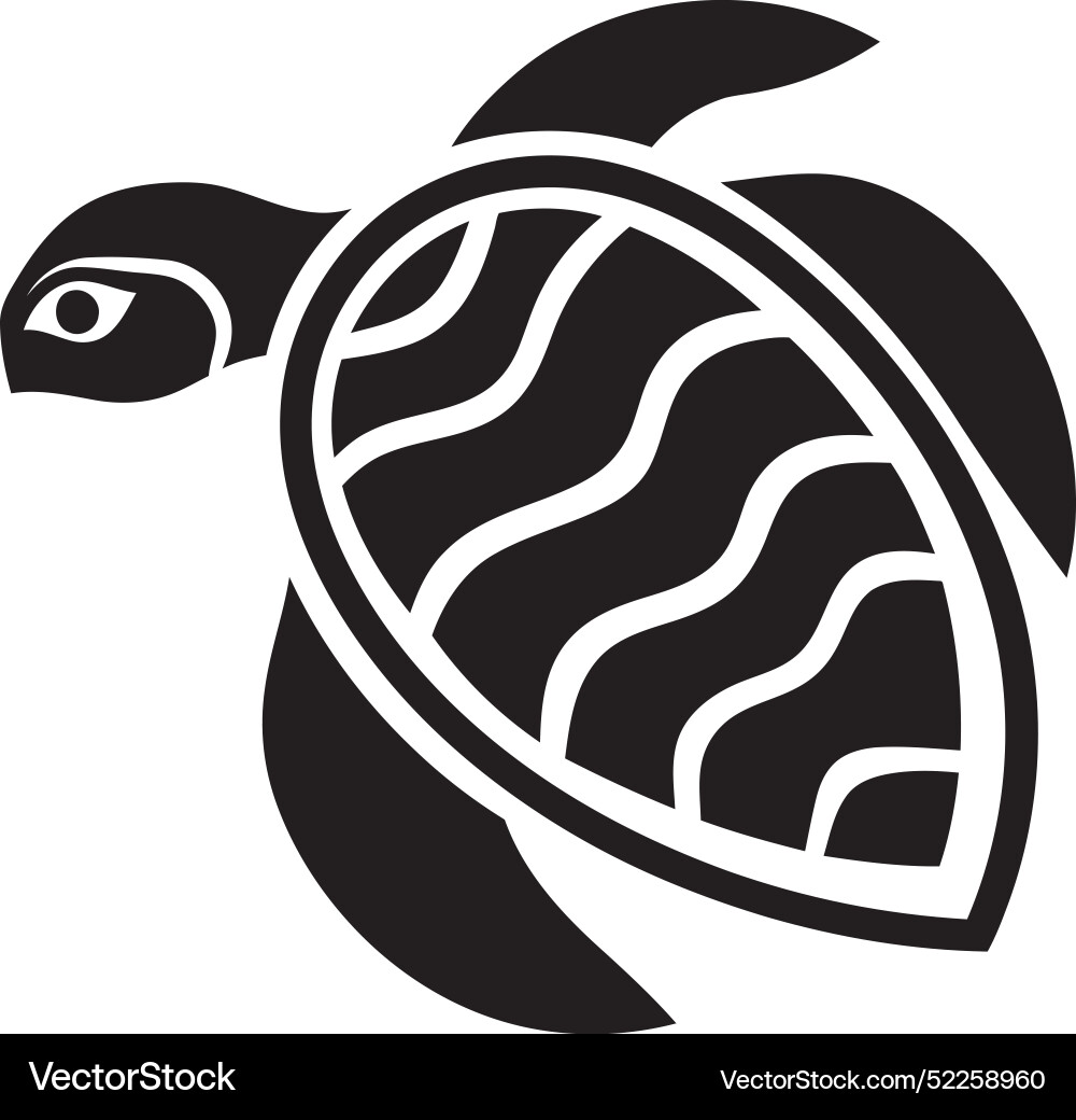 Black and white abstract turtle black turtle shell