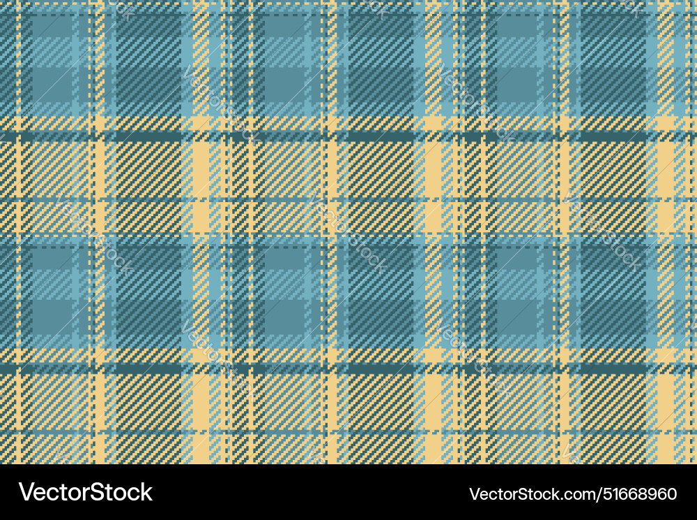 Front texture seamless check panjabi background Vector Image