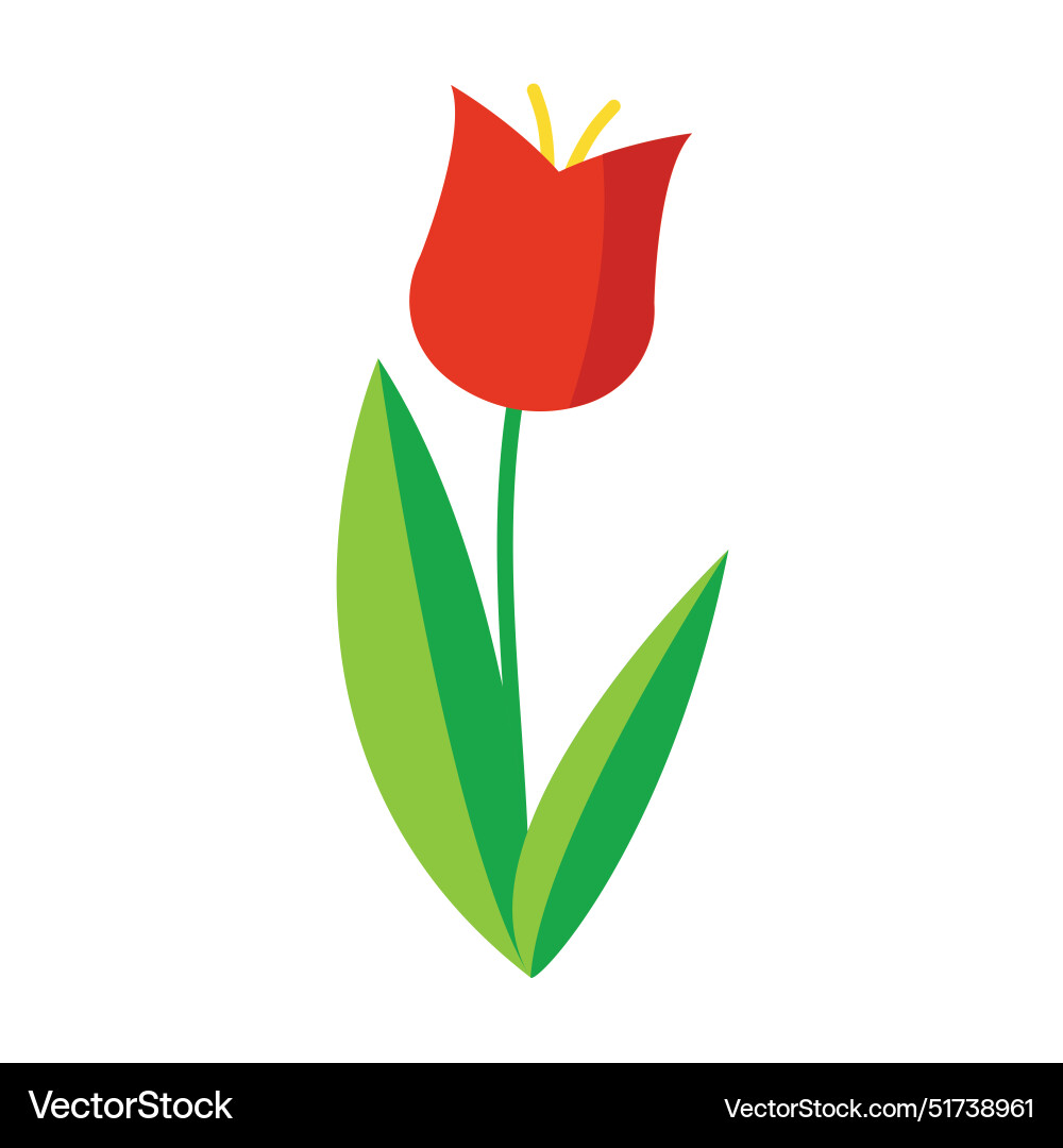 A cartoon cute pink tulip Royalty Free Vector Image