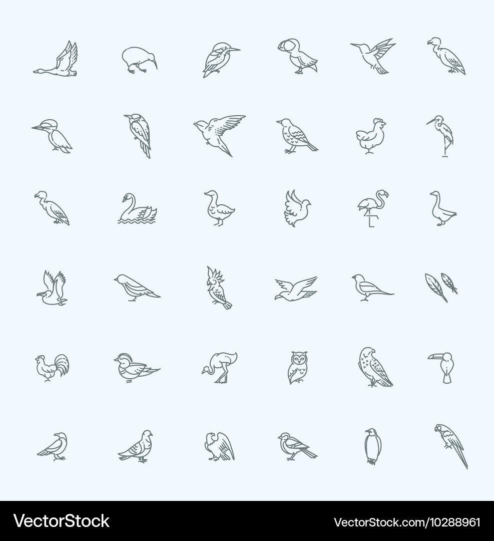 Diverse Bird Line Icons Royalty Free Vector Image
