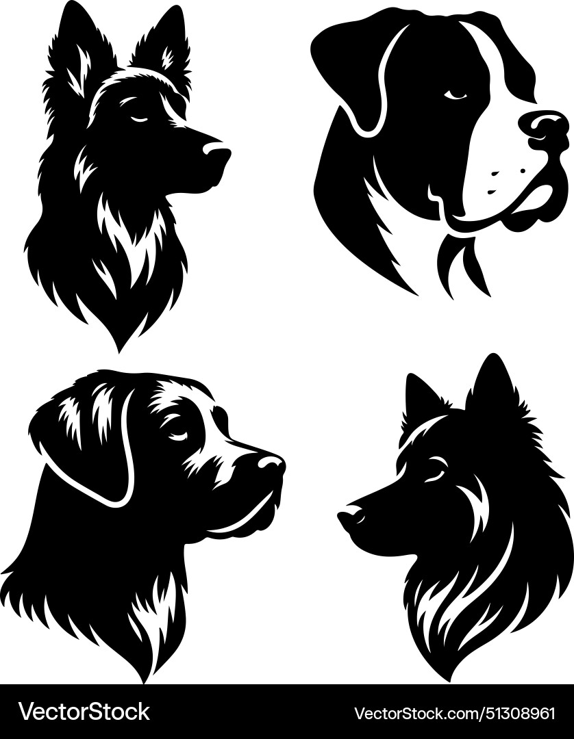 Dog head design isolated on white background Vector Image