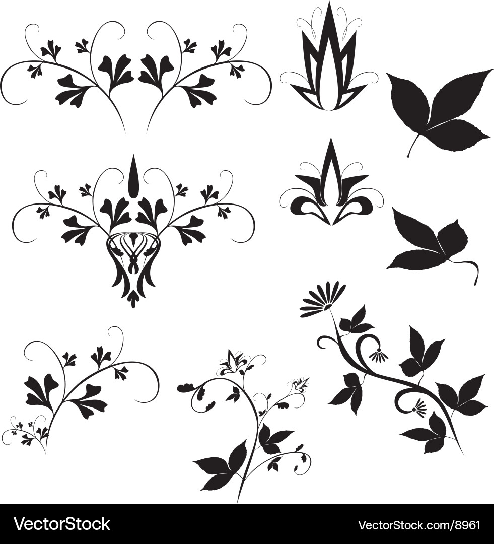 Floral design elements Royalty Free Vector Image