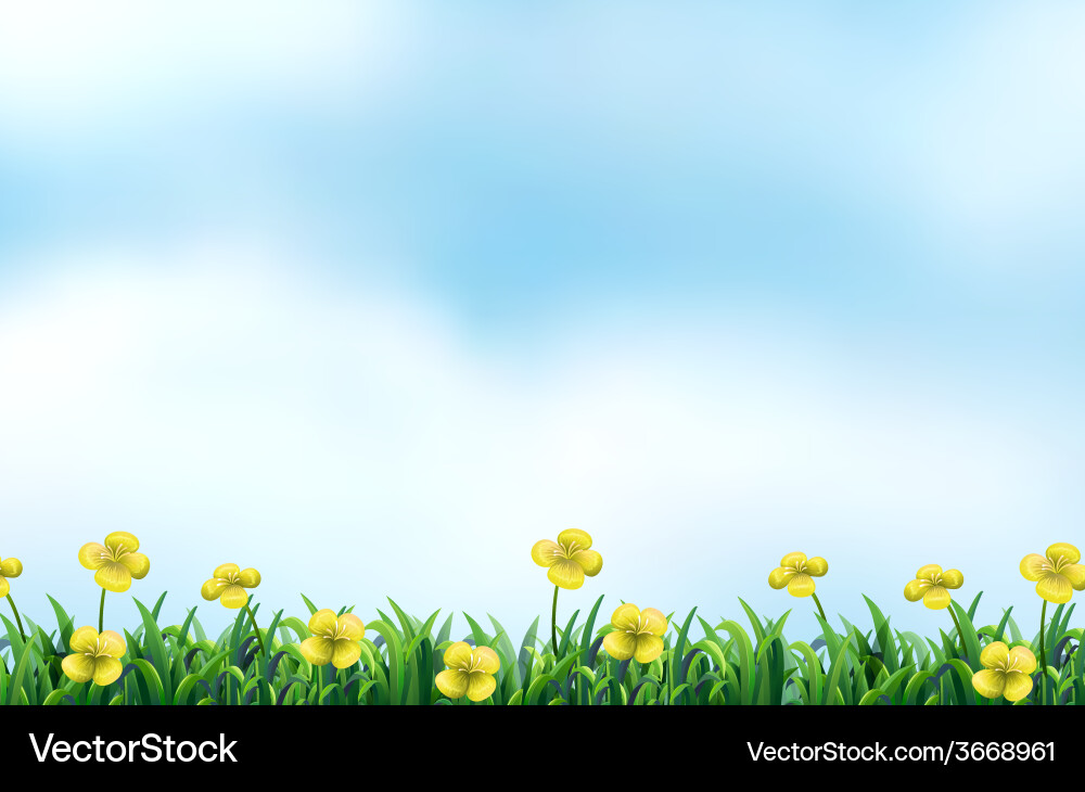 Flower field Royalty Free Vector Image - VectorStock