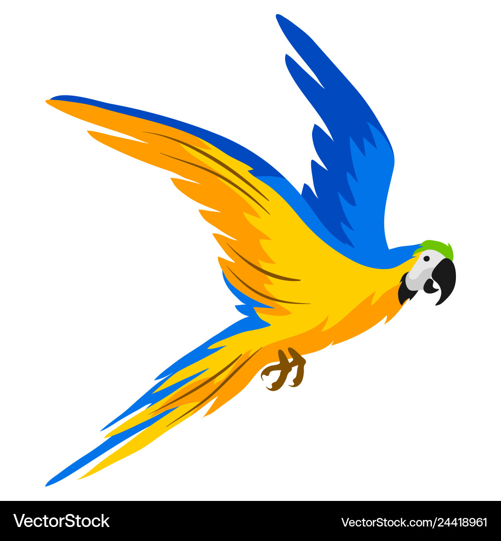 Macaw parrot tropical exotic bird Royalty Free Vector Image