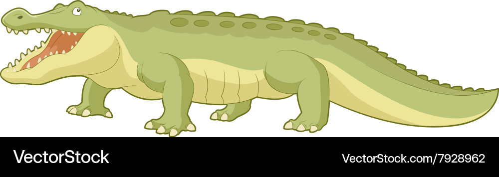 Cartoon green alligator Royalty Free Vector Image