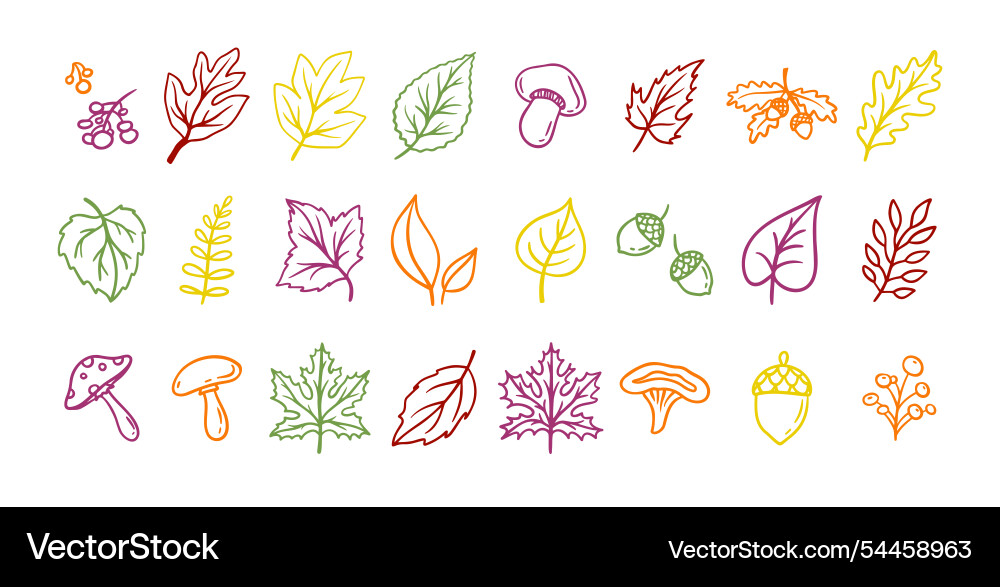 Autumn leaves outline doodle set botanical fall Vector Image