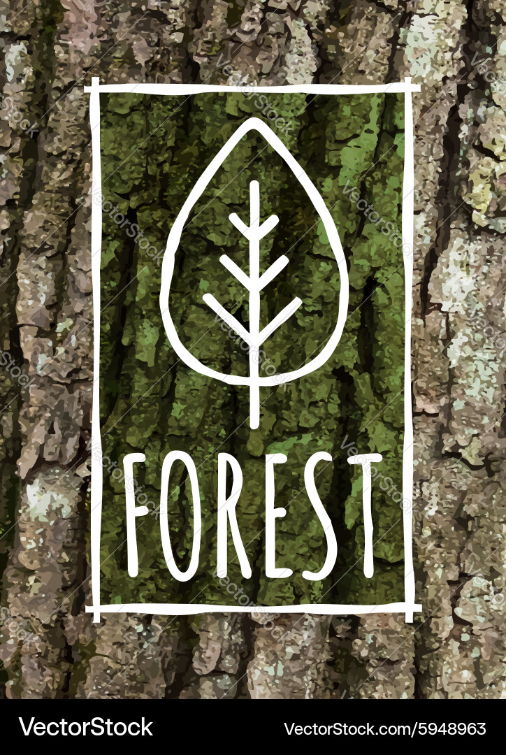 Realistic bark texture Royalty Free Vector Image