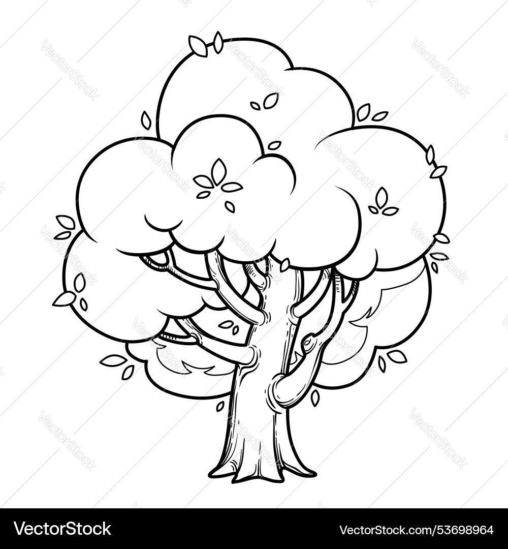 Big old tall lush foliar tree outlined Royalty Free Vector