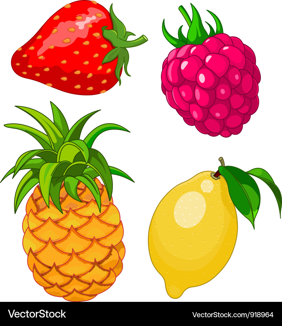 Fruit set Royalty Free Vector Image - VectorStock