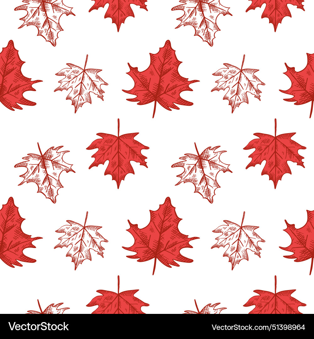 Red maple leaf engraved seamless pattern Vector Image