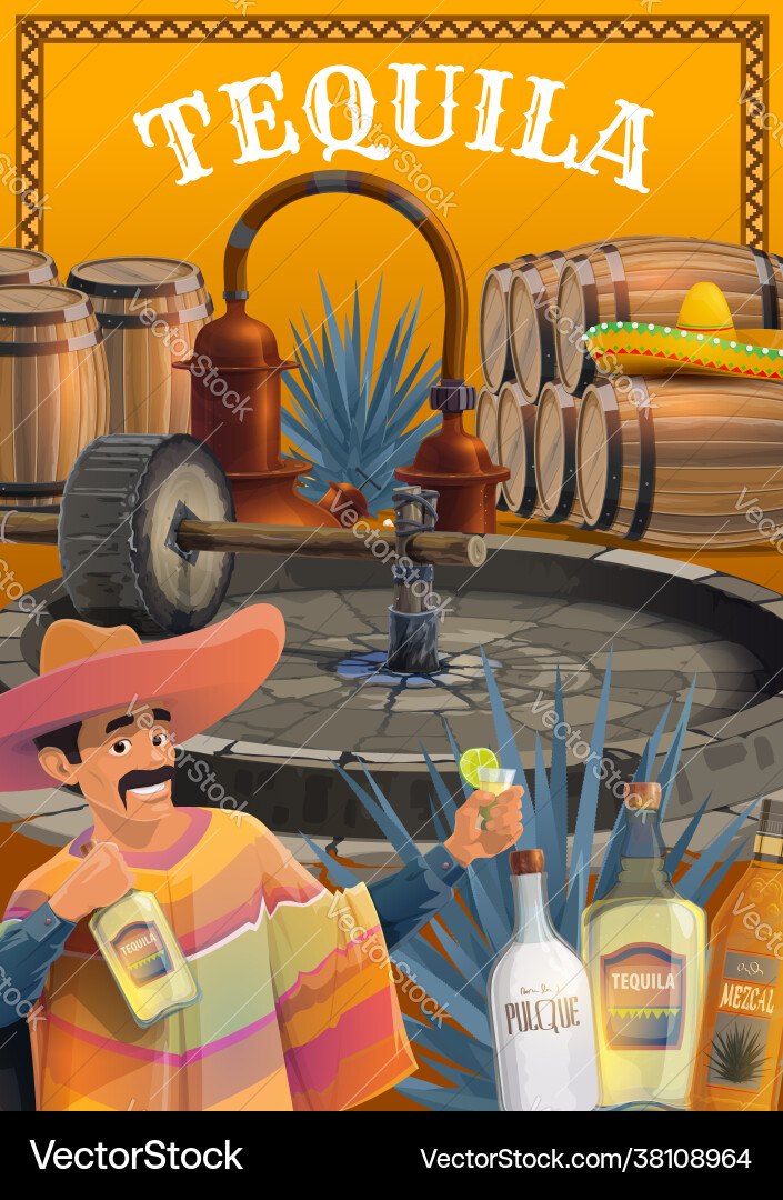Tequila and other agave drink production process Vector Image