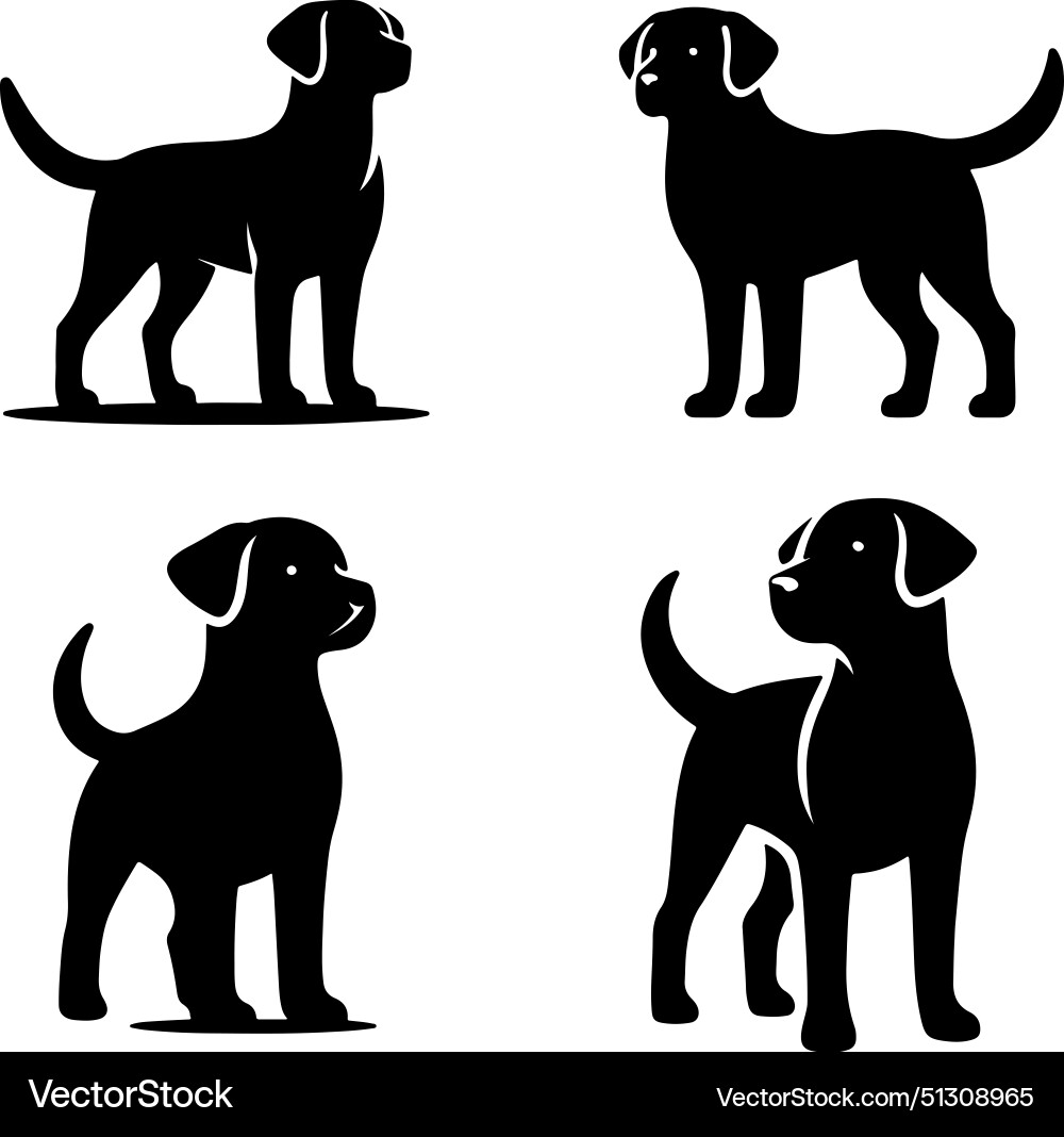 Dog head design isolated on white background Vector Image