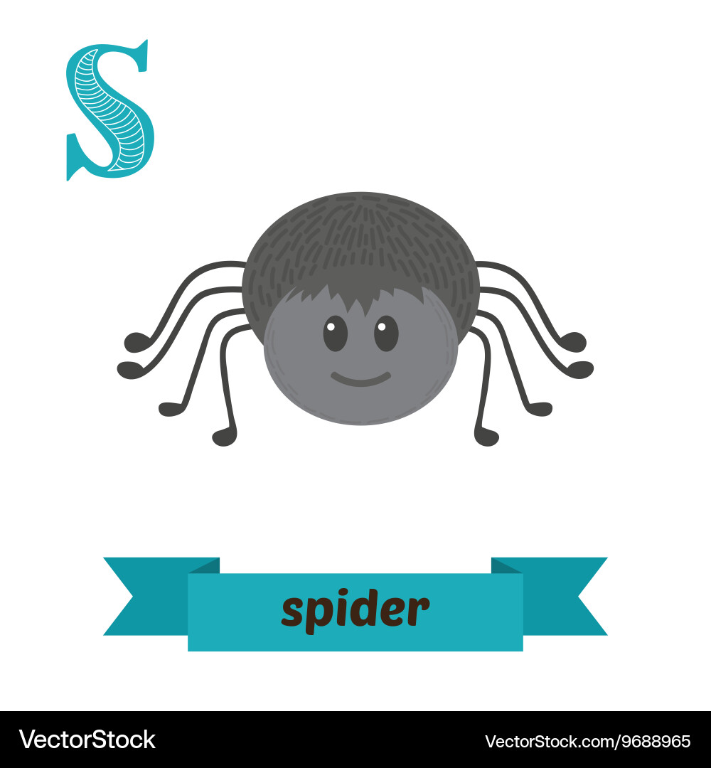 Spider s letter cute children animal alphabet Vector Image