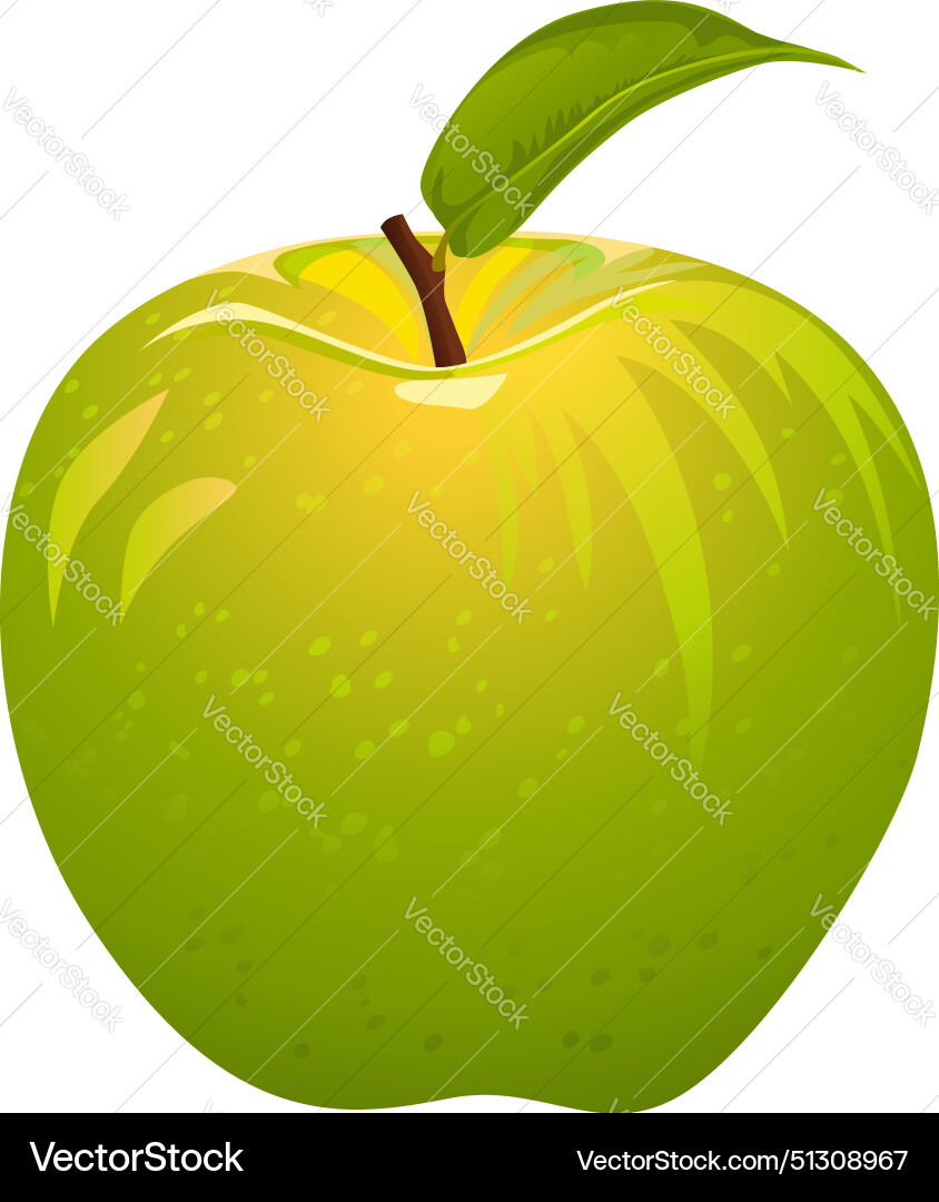 Juicy green apple Royalty Free Vector Image - VectorStock