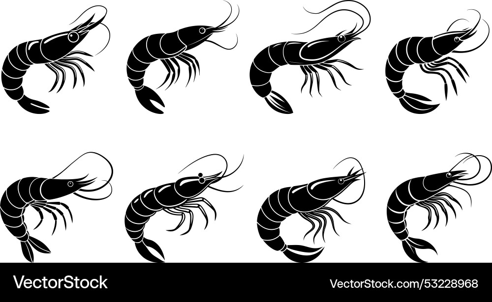 Set of shrimp silhouette Royalty Free Vector Image