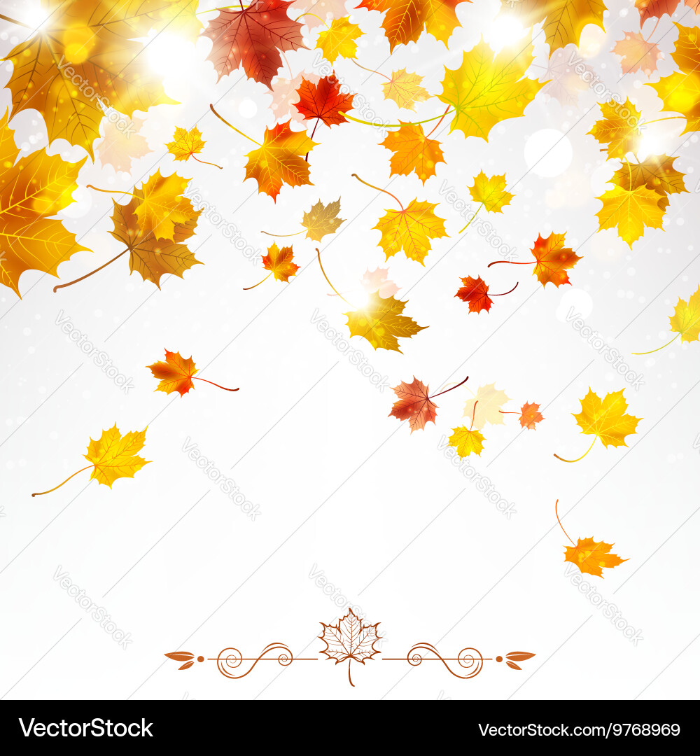 Autumn falling maple leaves Royalty Free Vector Image