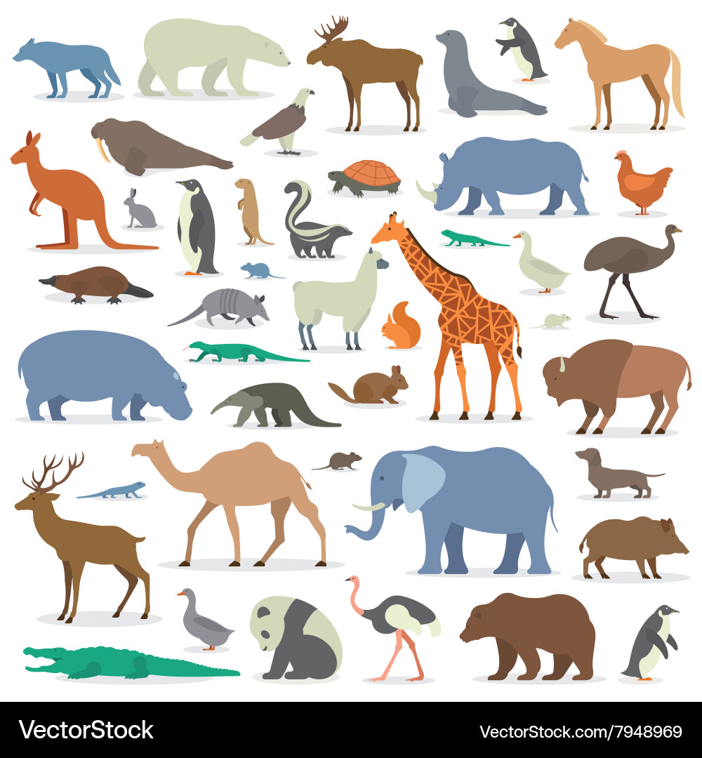 Big animals set Royalty Free Vector Image - VectorStock