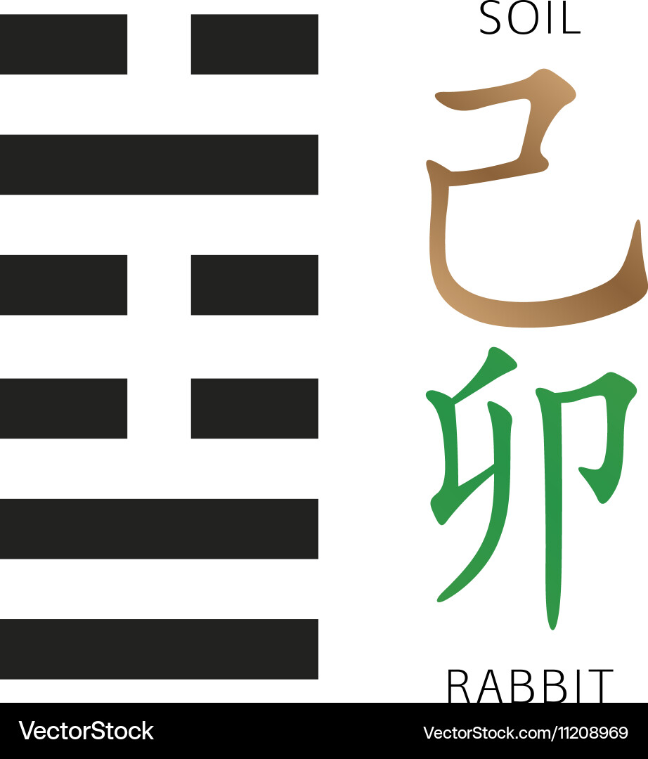 Symbol of i ching Royalty Free Vector Image - VectorStock