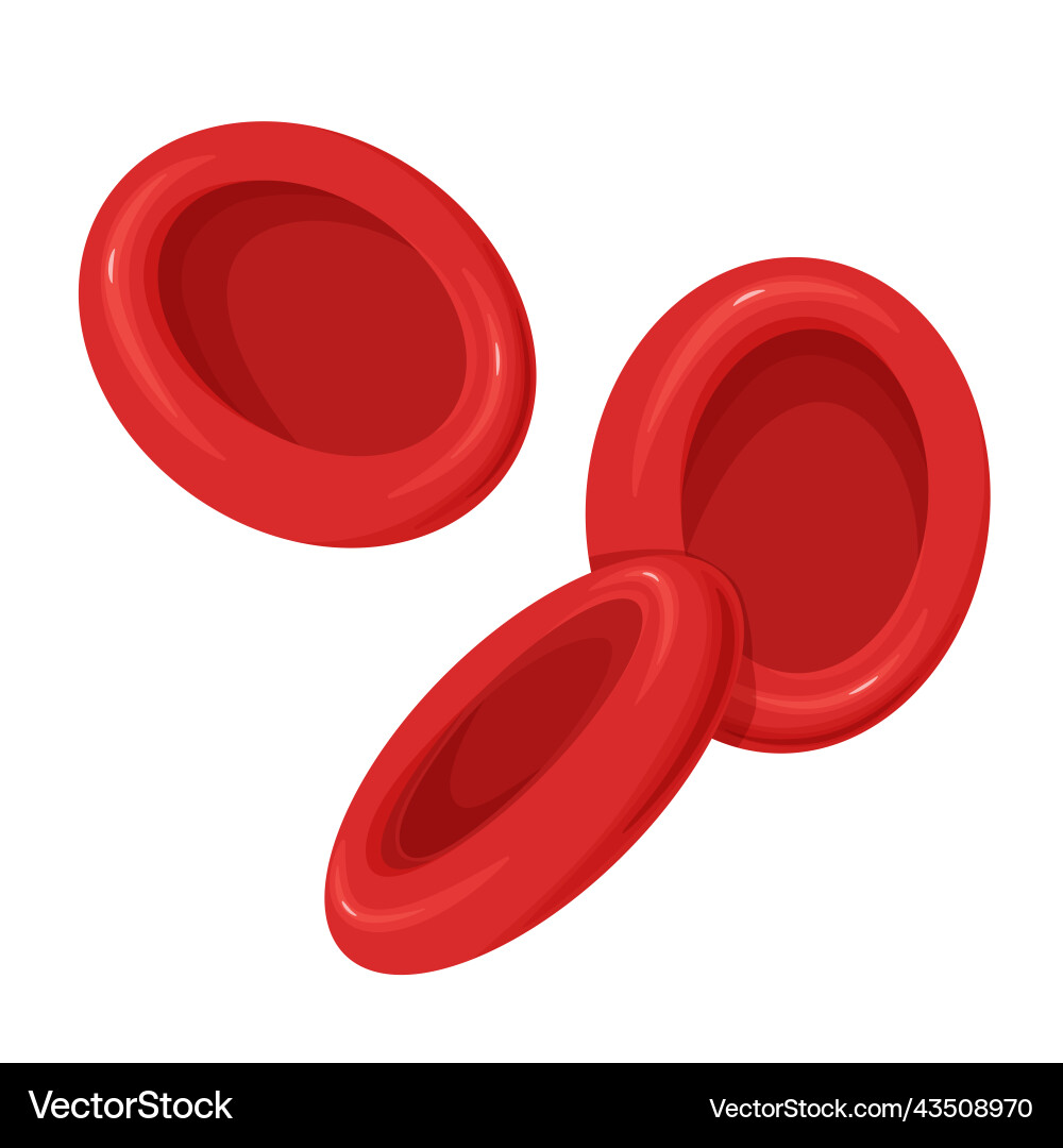 Hemoglobin flowing red blood cells erythrocyte Vector Image
