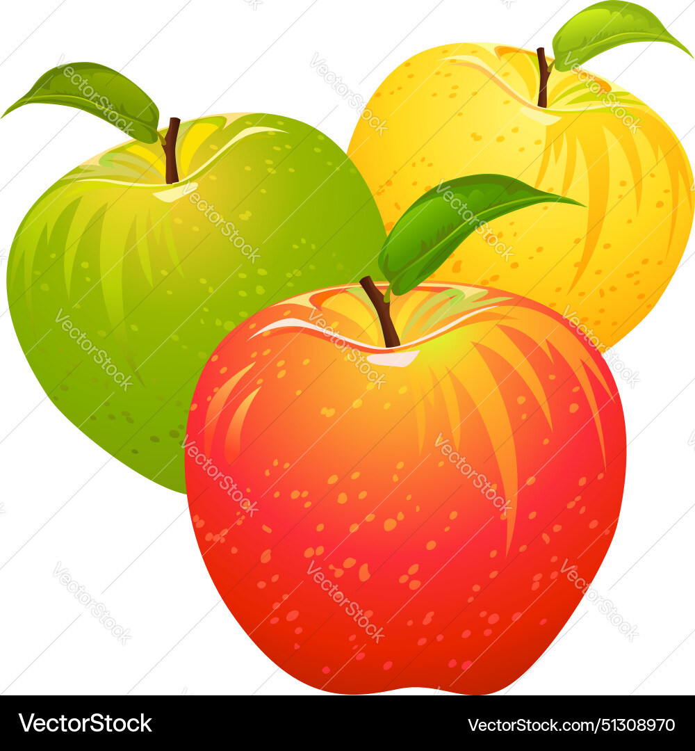 Set of colorful apples Royalty Free Vector Image