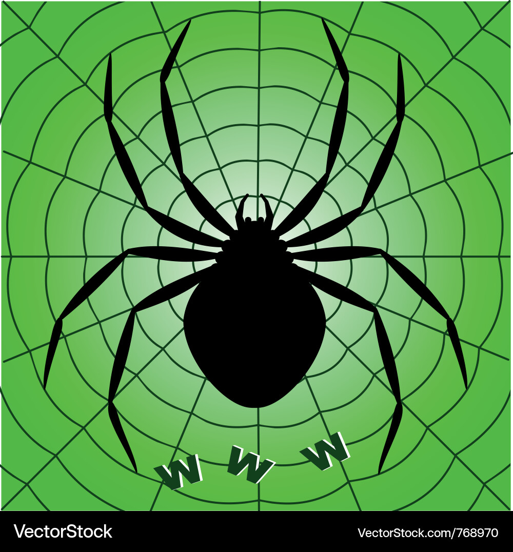 Spider Royalty Free Vector Image - VectorStock