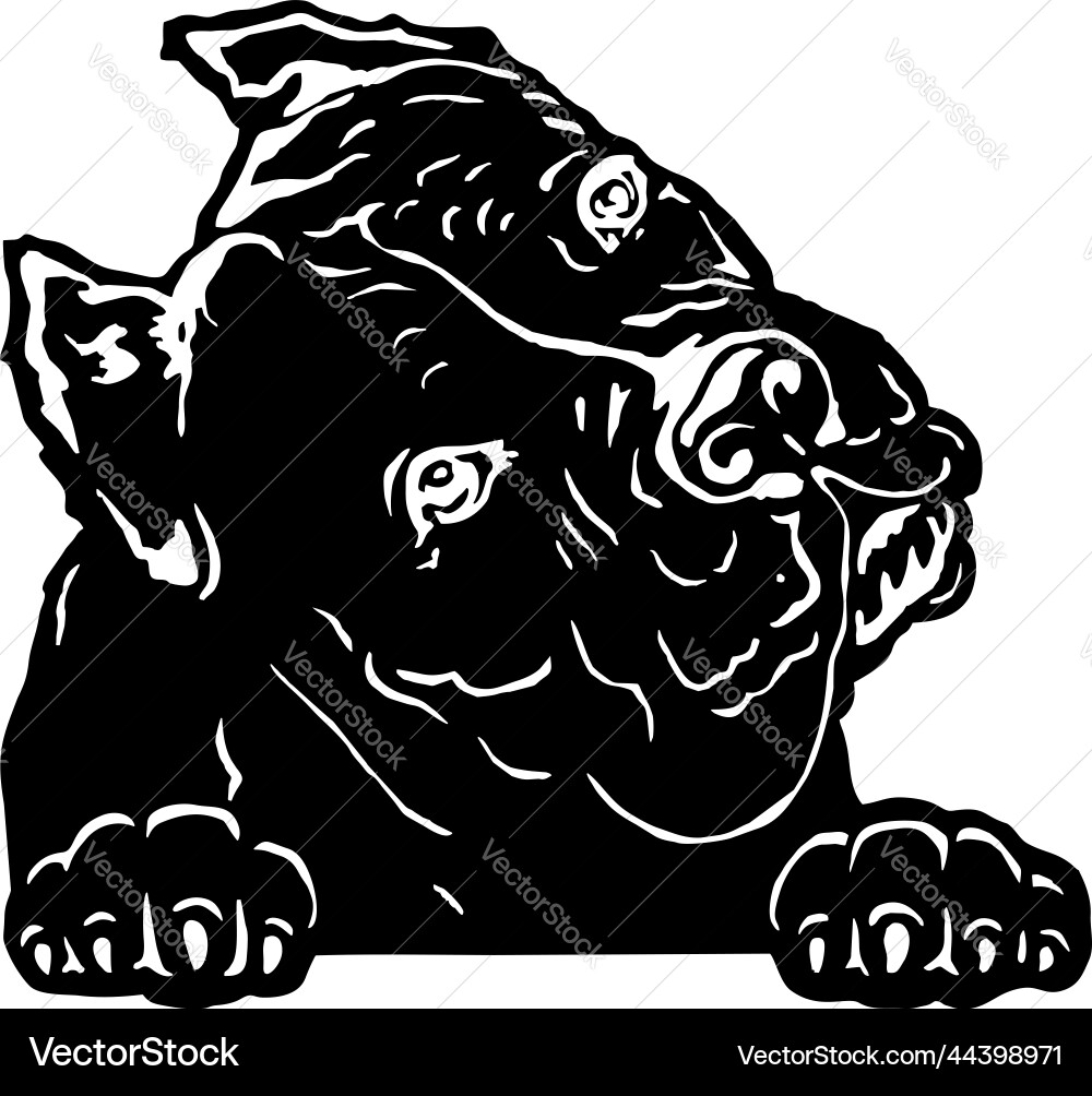 Cane corso - funny dog file cut stencil Royalty Free Vector