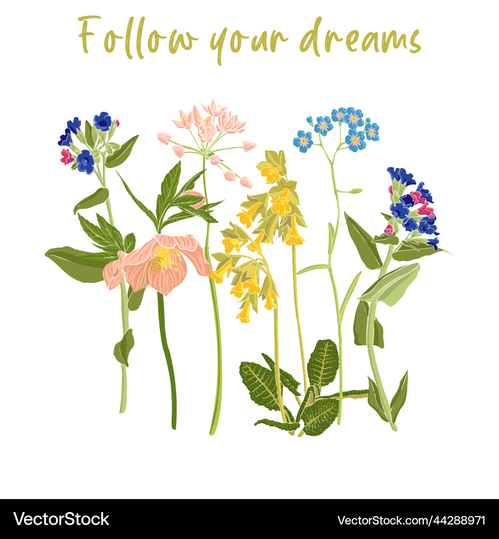 Drawing wild flowers Royalty Free Vector Image